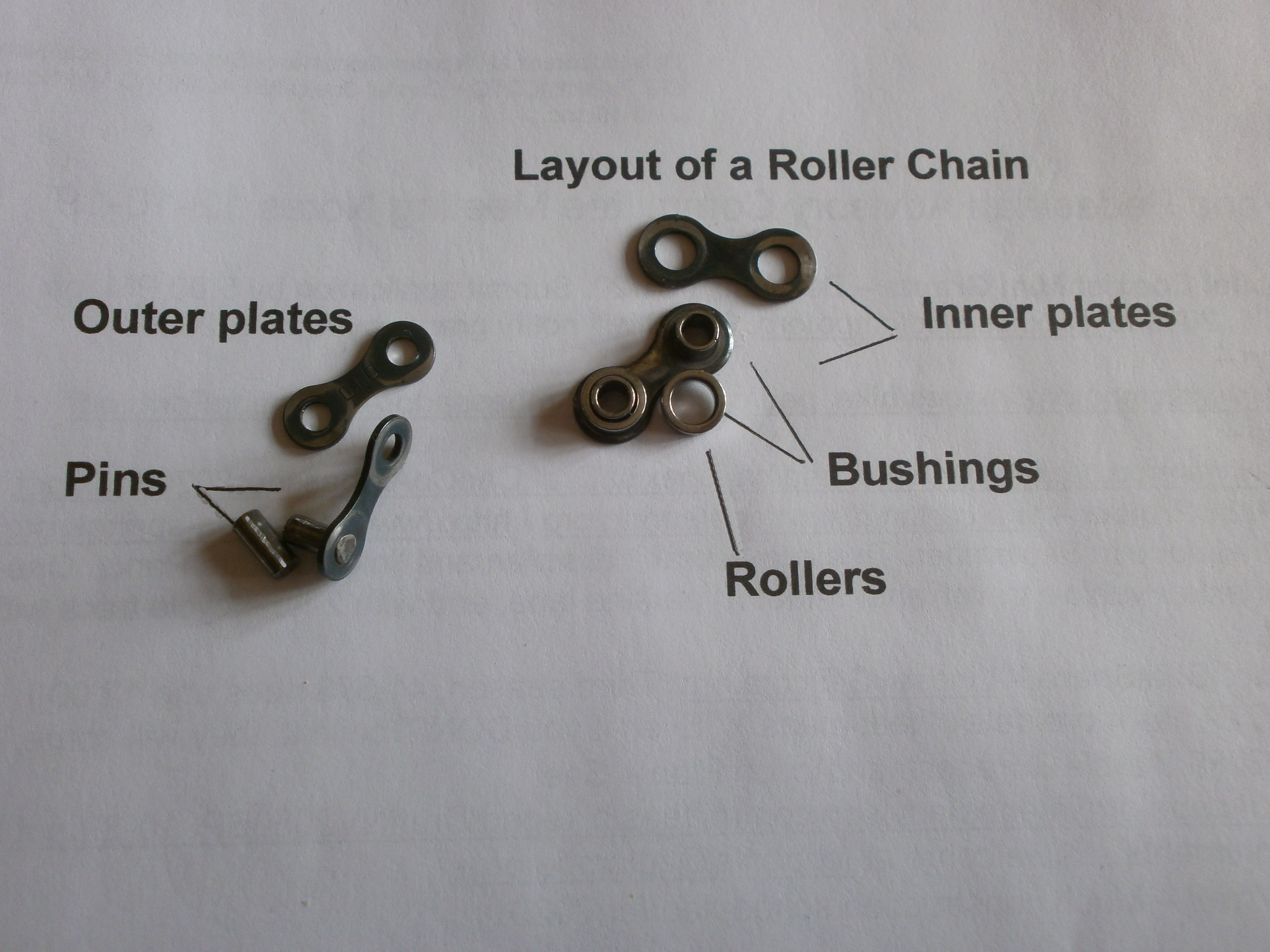 Saved by the Swiss – Who Else? | Albany Bicycle Coalition